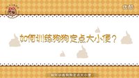 如何训练狗狗定点大小便