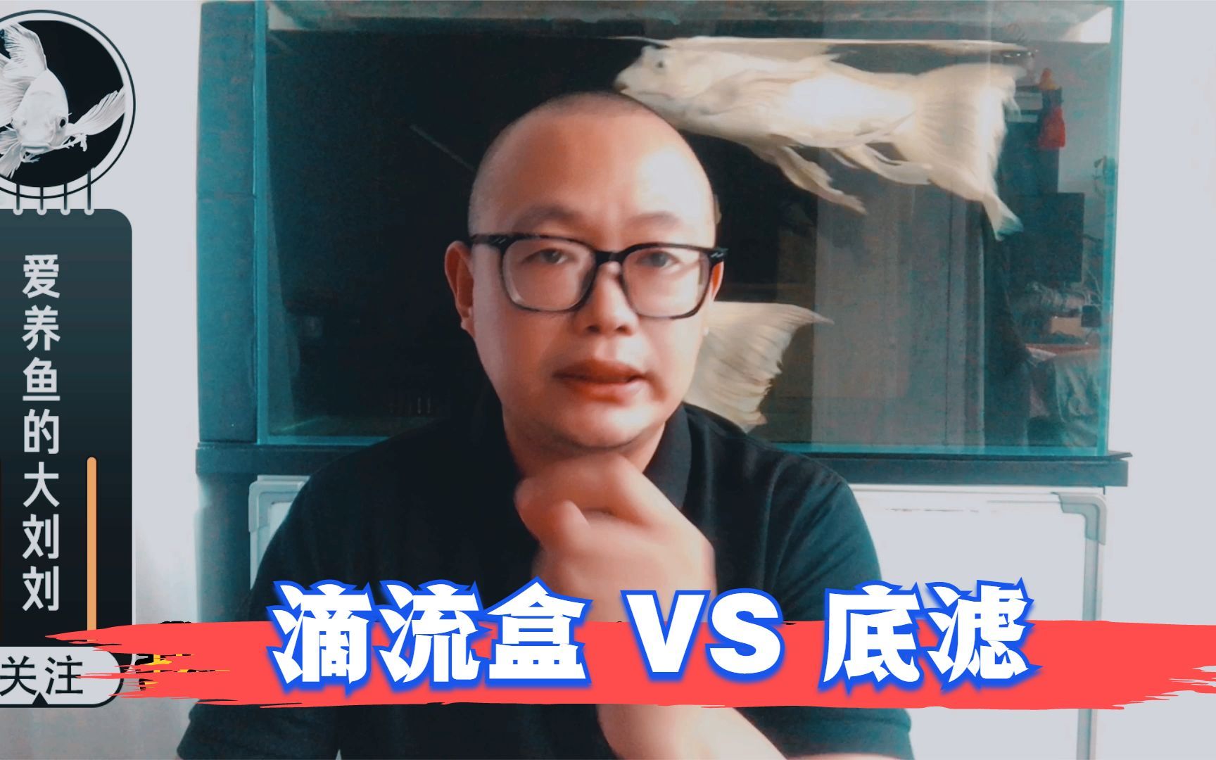 鱼缸过滤设备:底滤和滴流盒哪个效果好?