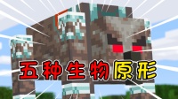 我的世界:硬核知识!一定要了解的五种生物原始模型