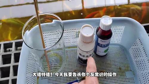 鱼塘杀虫后,这个时间点用二氧化氯消毒效果翻倍!