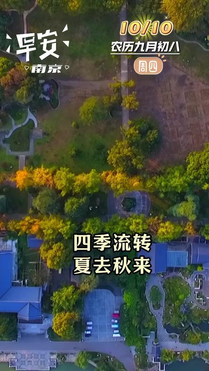 #早安南京四季流转,夏去秋来。白鸽纷飞,载来几分秋色,也载来早安的...