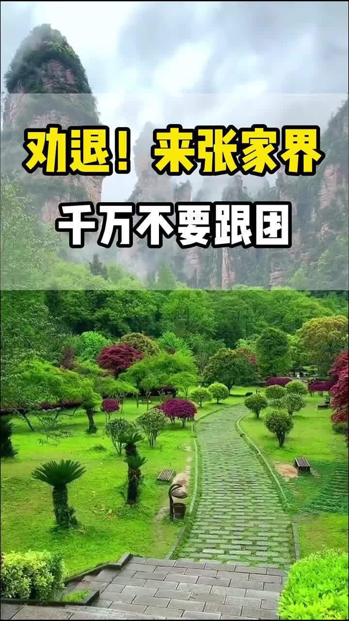 一分钟打开张家界旅游的新方式!
