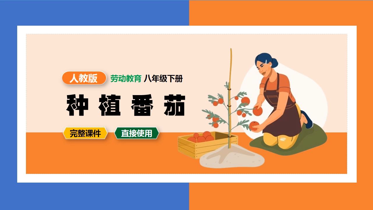 人教版劳动教育种植番茄PPT课件八年级下册教学课件初中公开课备课