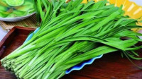 家庭韭菜种植新方法，无农药韭菜隔几天割一茬，香味浓郁又高产