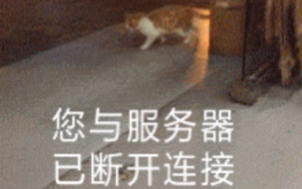 论如何在现实生活中卡bug