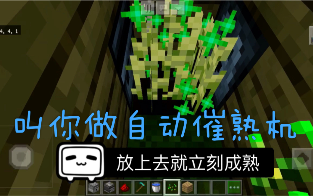 我的世界——教你怎么做自动催熟机