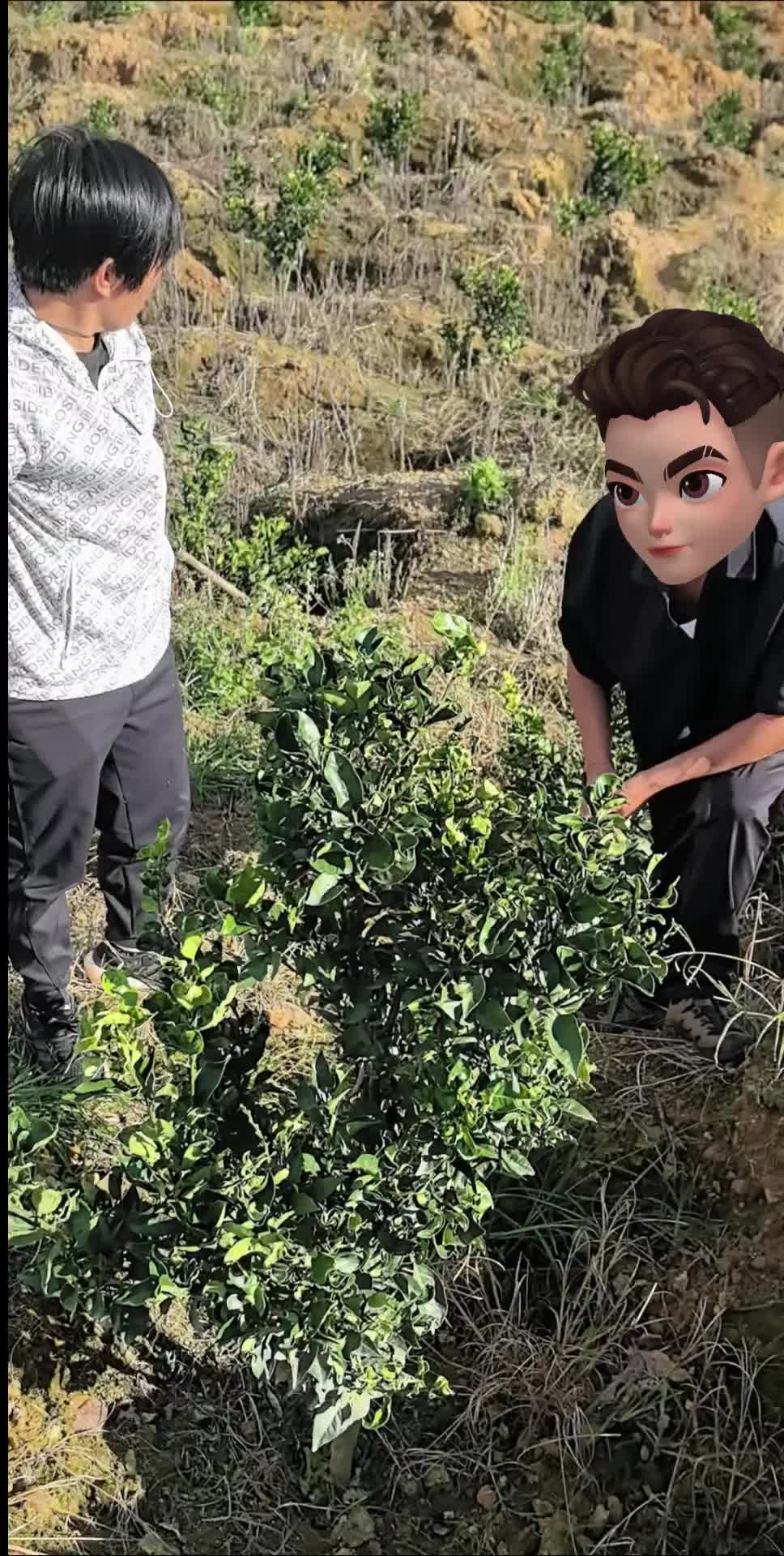 致团队/合作伙伴:坚守初心,做系统化作物管理的实干者 各位并肩的伙伴...