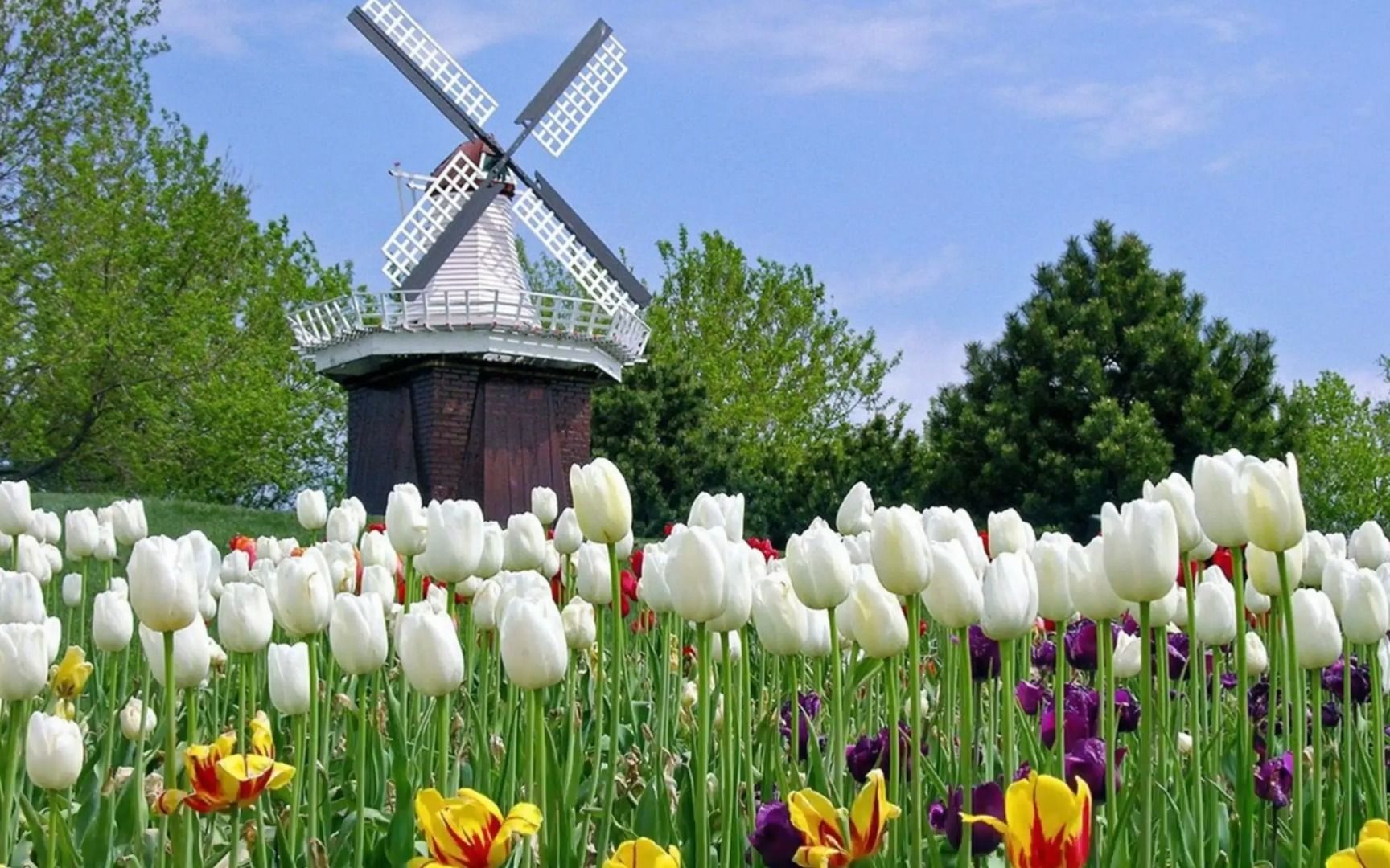 今天演示一下京东店铺打假过程