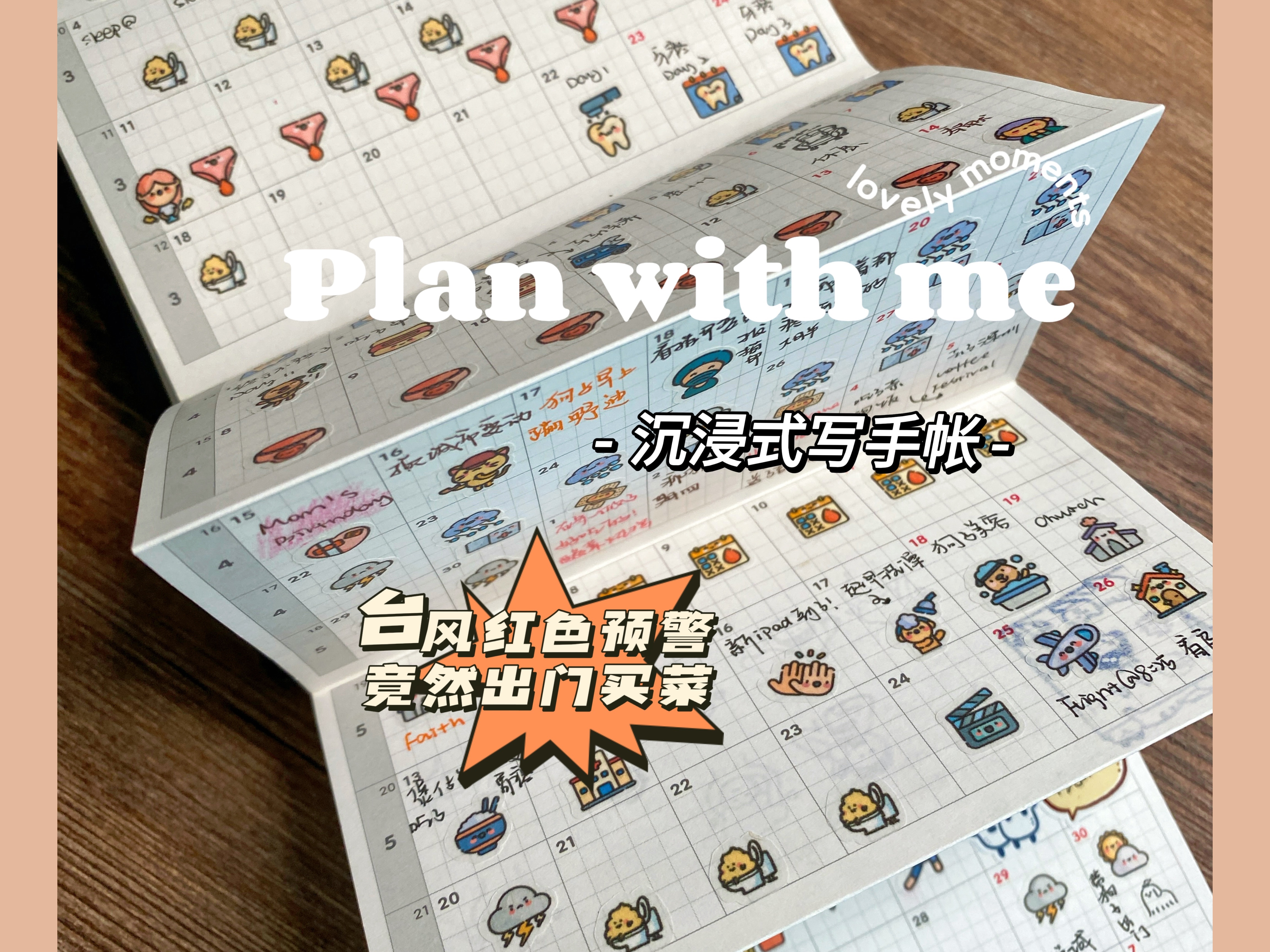 沉浸式写手帐|记录上海台风天ߌ�|我竟然在台风红色预警出门买菜