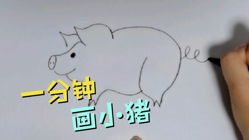 一分钟画小猪 动物简笔画 十二生肖之亥猪