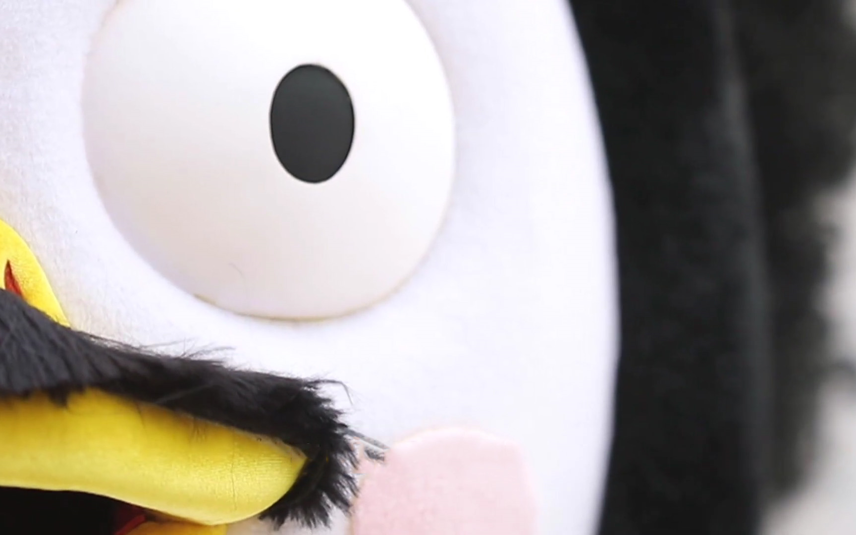 【Pengsoo】天才印象派画家企鹅(EP.189中字)