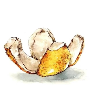 吐了一头盔的老何 