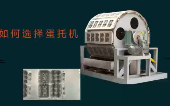 纸浆模塑制品