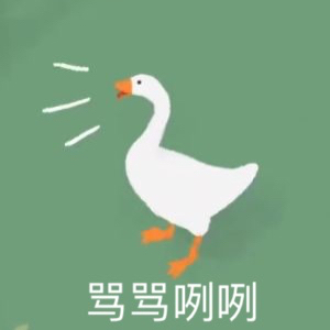 鹅飞咻Official 