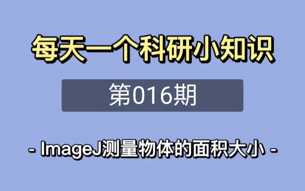 博士日常16期 / 用imagej测量物体的面积大小