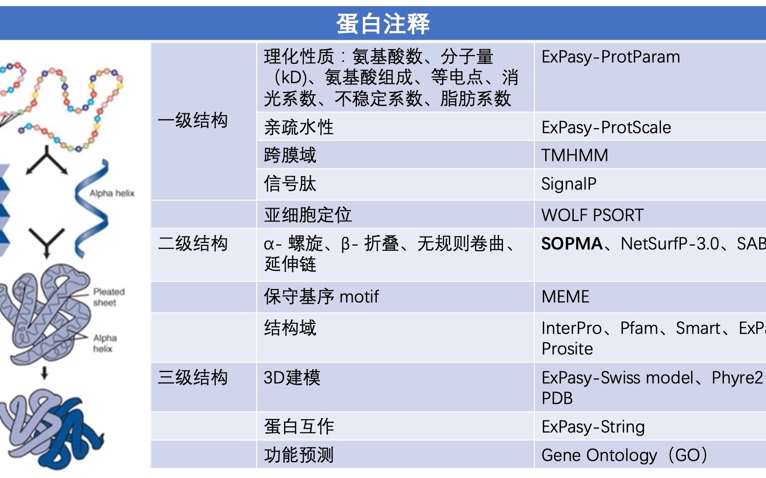 如何用TMHMM预测蛋白的跨膜结构域
