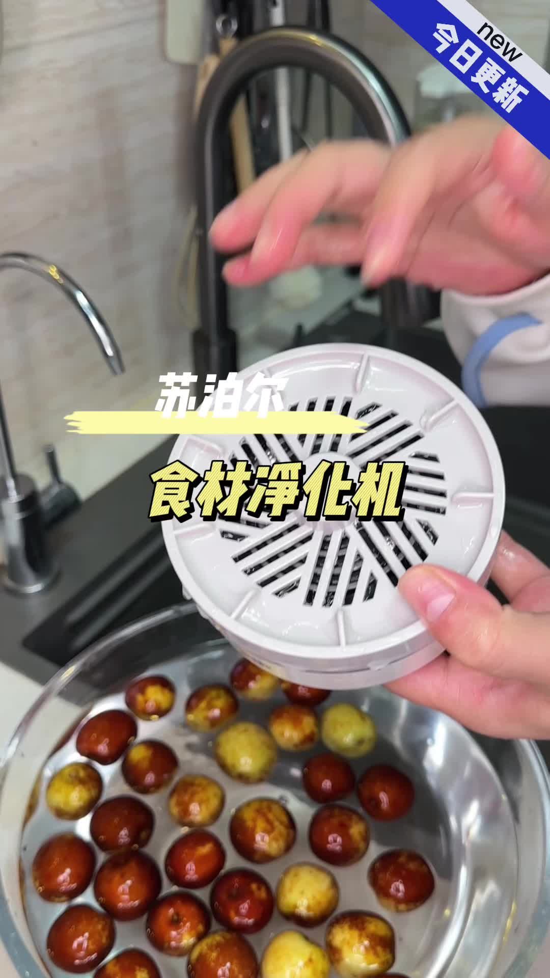 ...清洗机 涡轮冲洗去除农残#果蔬清洗机 海鲜肉类#净化器 羟基水离子...