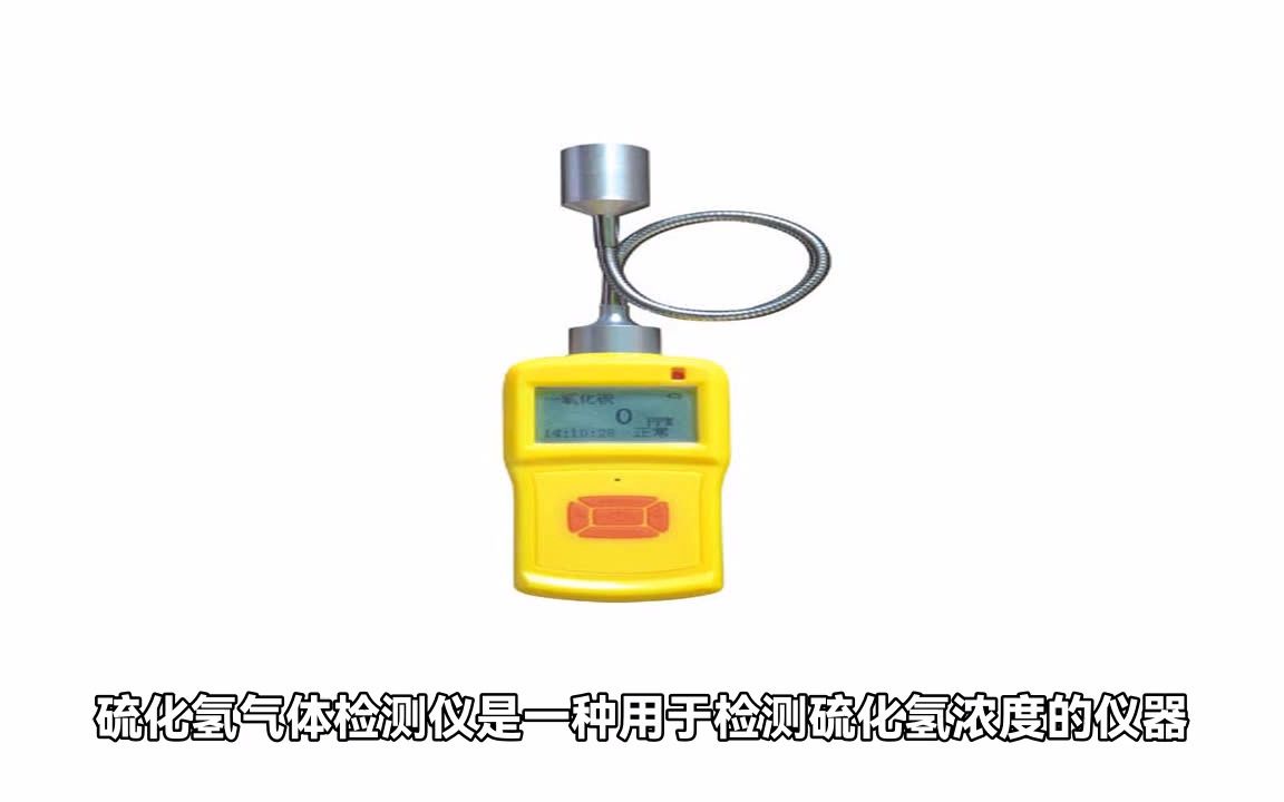 多种气体检测仪:精准检测保障安全