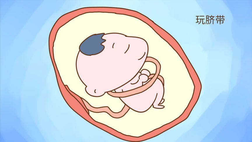 胎教音乐:详细3D动图,展示胎儿形成过程,好奇的准妈妈看过来