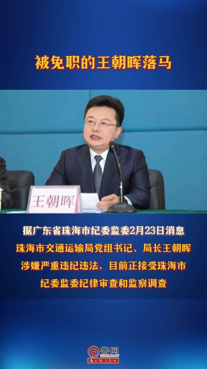 被免职的王朝晖落马