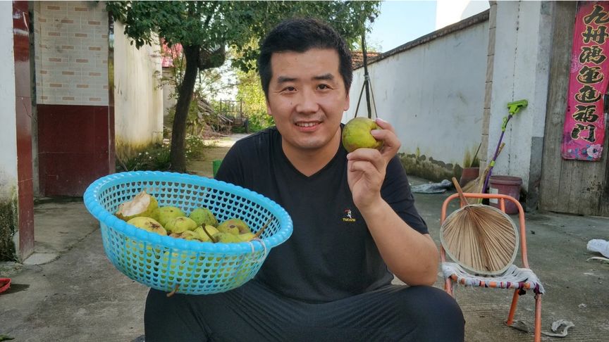 农村老宅子梨树上的梨子成熟了,酸甜可口,10分钟摘了1筐,好吃