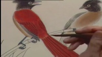 王绣国画牡丹教学霍春阳国画小鸟画法