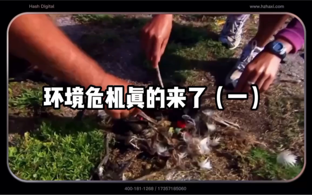 环境危机真的来了(一)
