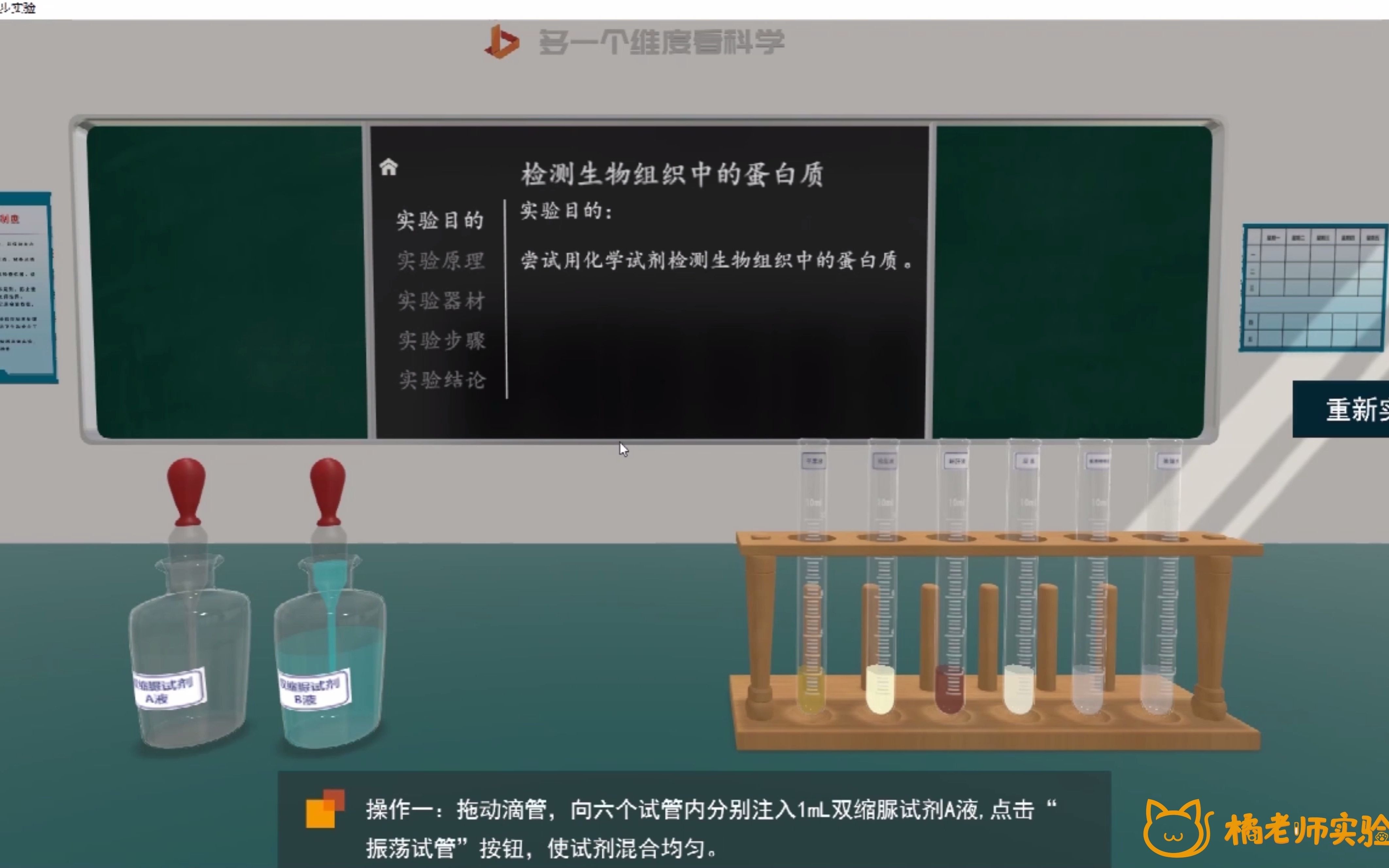 【橘老师实验室】检测生物组织中的蛋白质