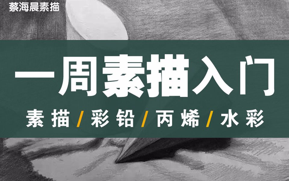 素描石膏体教程 - 蔡海晨素描绘画零基础教学