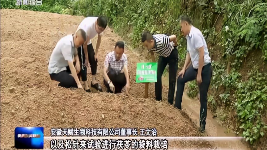 科技创新助推我市林业高质量发展
