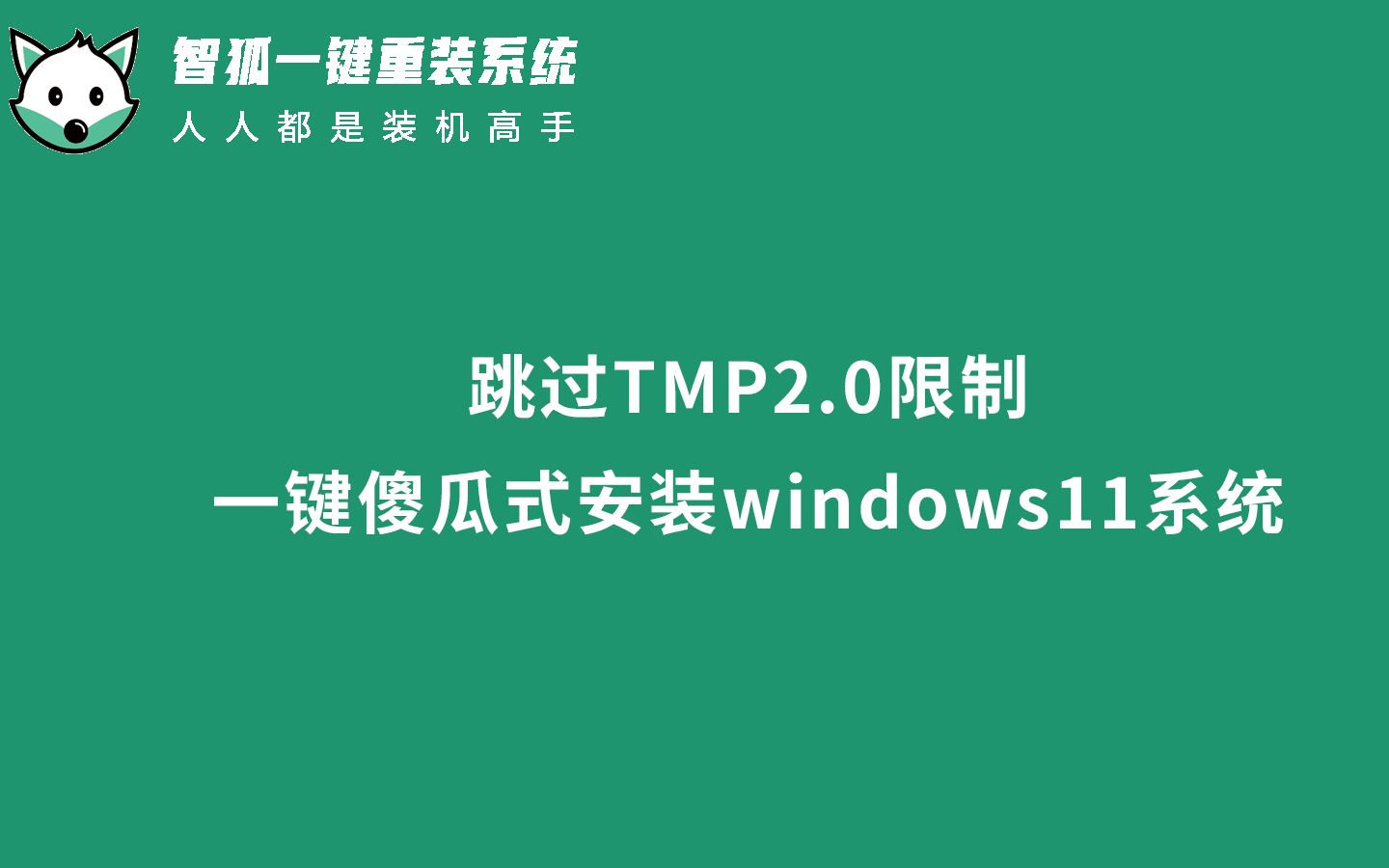 跳过TMP2.0限制,一键傻瓜式安装windows11系统