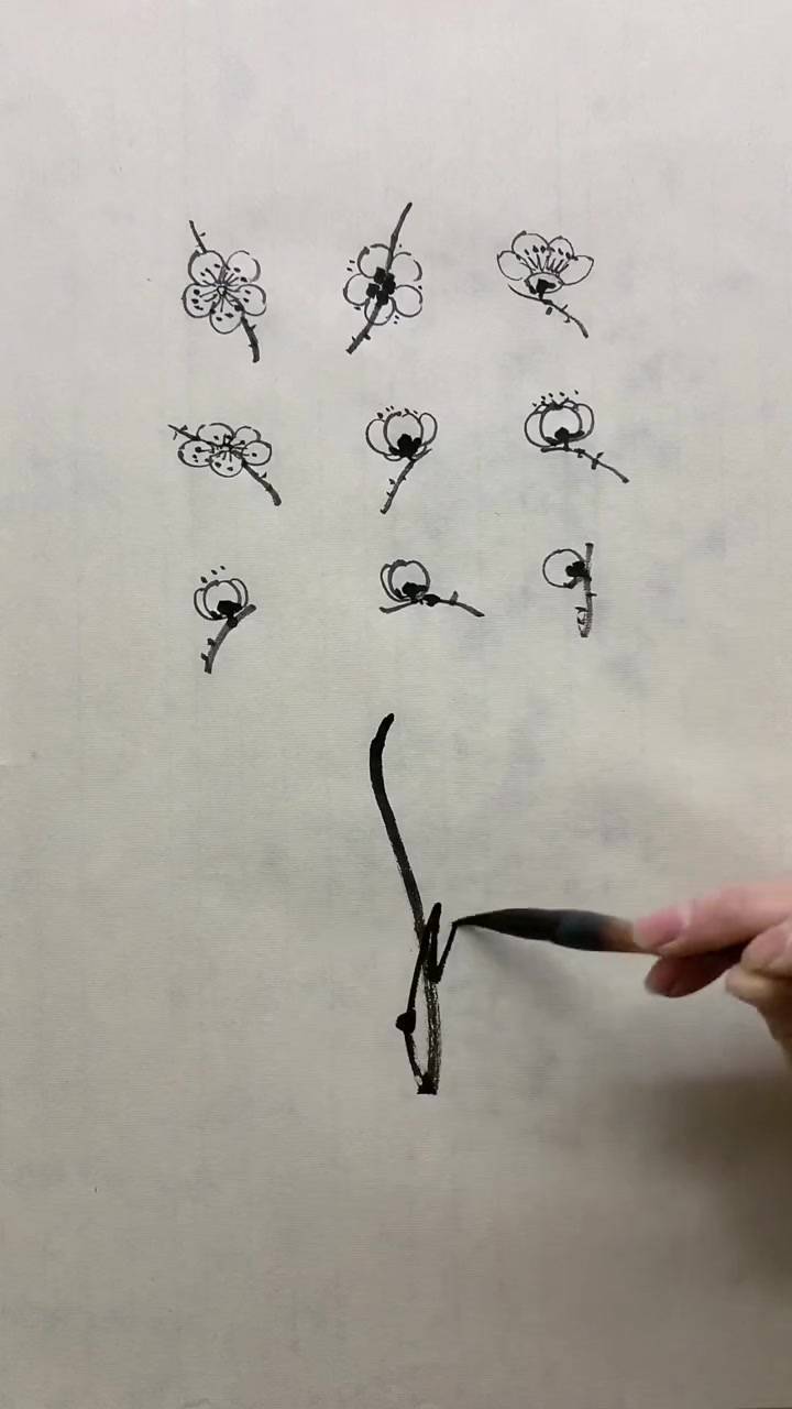 #教你学画画 #零基础学画画