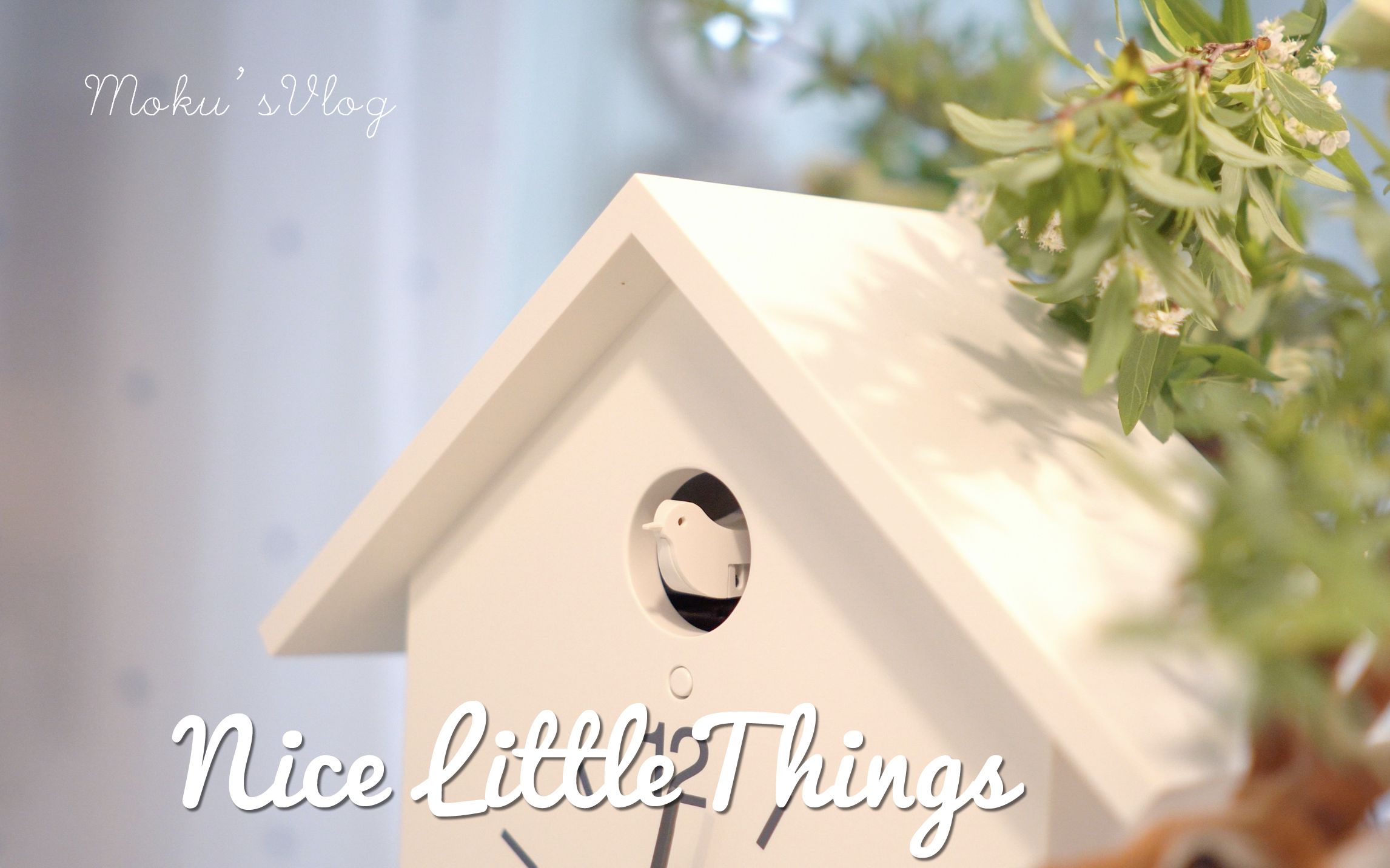 【好物 | 治愈系Vlog】 超可爱!布谷鸟时钟 & 计时器 | 蘑菇Moku