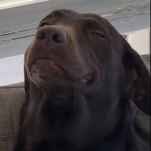 O_OxiaoduO_O 