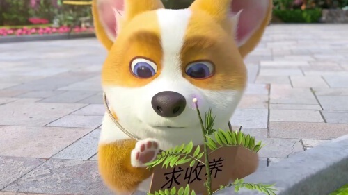 飞狗MOCO:狗狗被欺负了,幸亏遇见小主人及时救下,太棒了