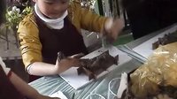 溱潼中心幼儿园中班区角活动视频