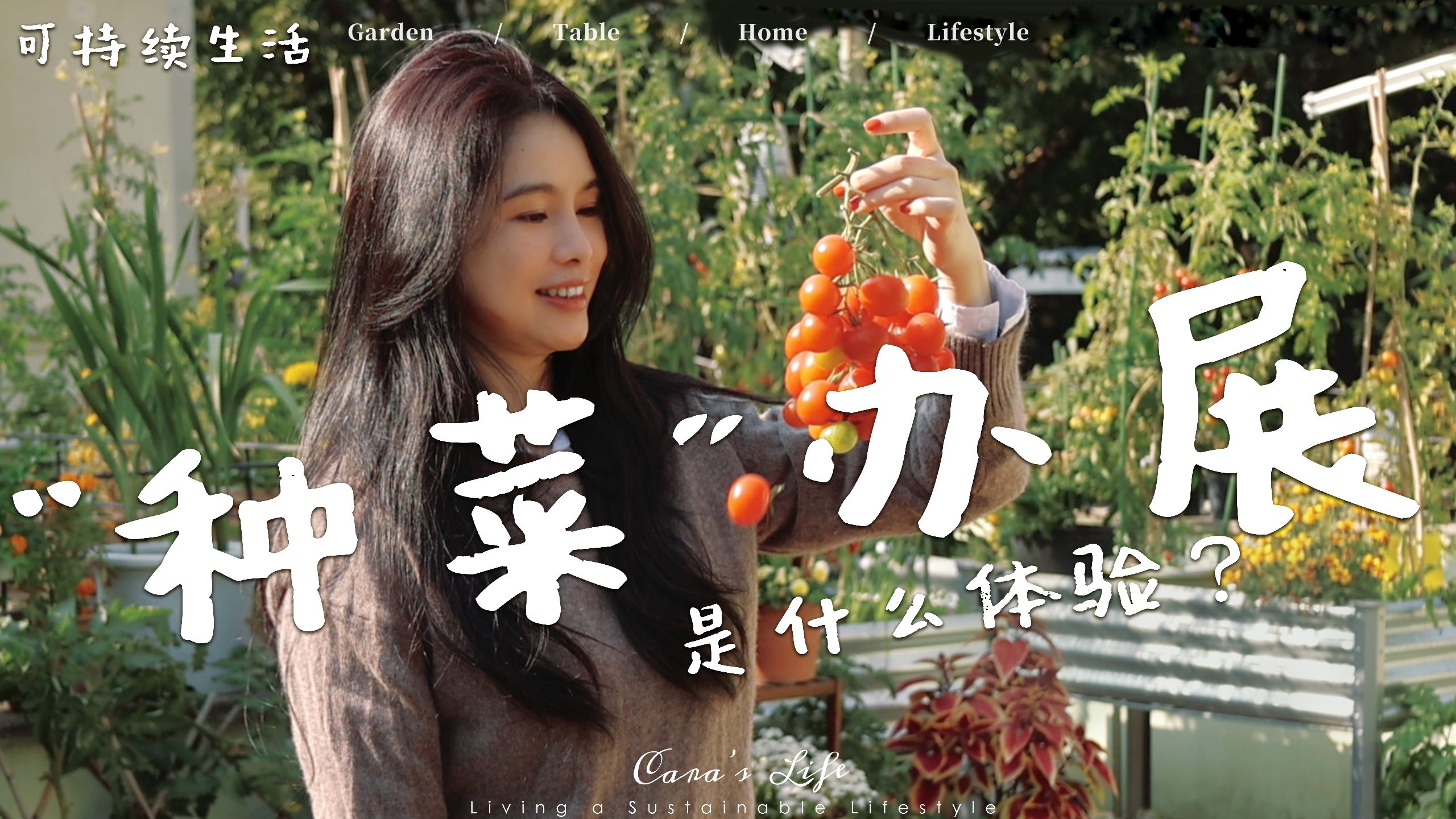 可食花园 | 把“种菜”办成展览?!我的三年都是怎么过的?