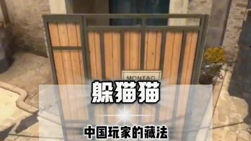 CSGO躲猫猫 中国玩家玩CSGO躲猫猫
