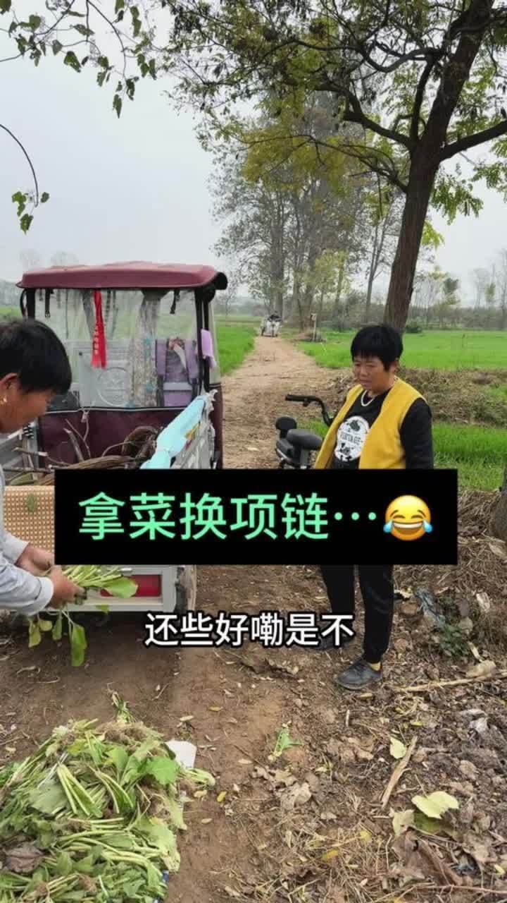 白菜价让您戴一辈子的天然无核珍珠项链