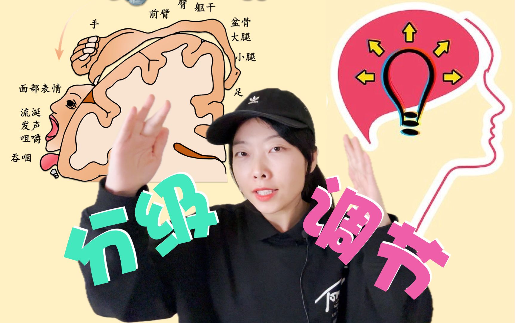 2.8【神经调节】神经系统的分级调节|躯体运动 内脏活动《选必一》