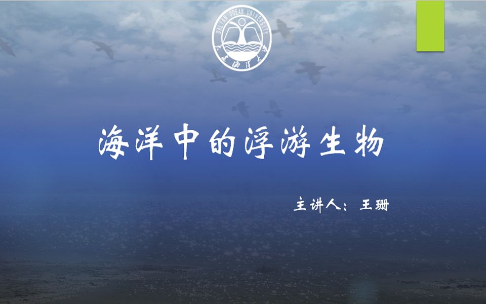 海洋中的浮游生物-字幕版