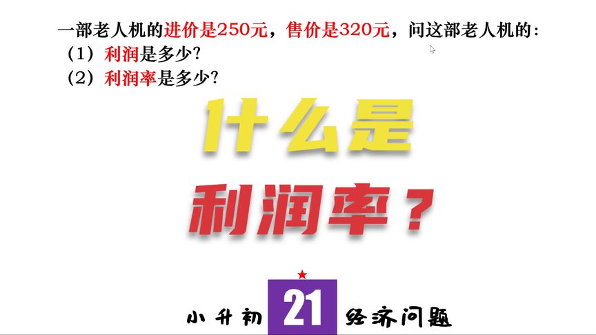 经济问题(1),什么是利润率?@小学计算提高