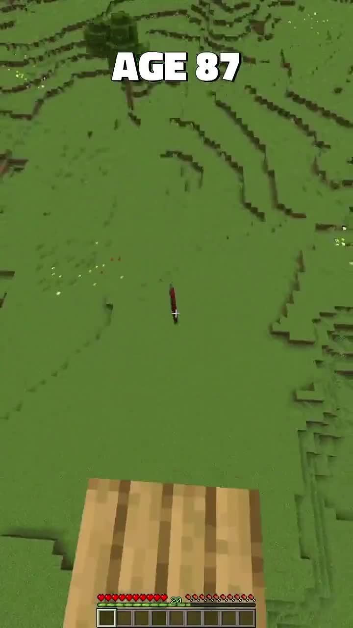 不同年龄的玩家落地操作Minecraft我的世界mc不灭游戏凡星计划我的...