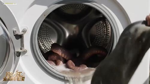 惊!滚筒洗衣机密封圈惊现蠕动活蛇,主妇清理时粘液满手!