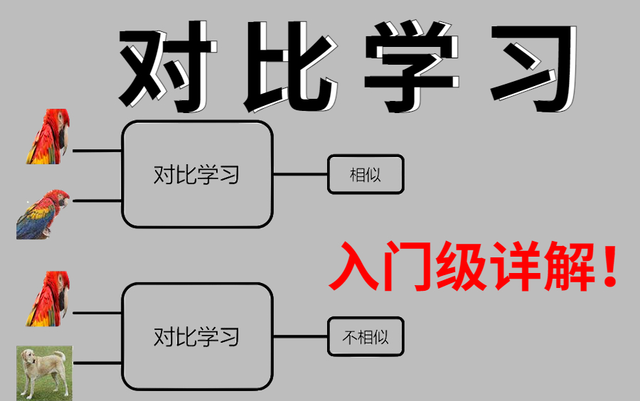 【对比学习】如何用组合的数据增强扩大数据集对模型性能影响?最强...