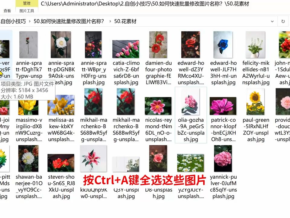 ... #办公软件教学 #办公软件技巧 #电脑知识 #计算机基础 #在线学习
