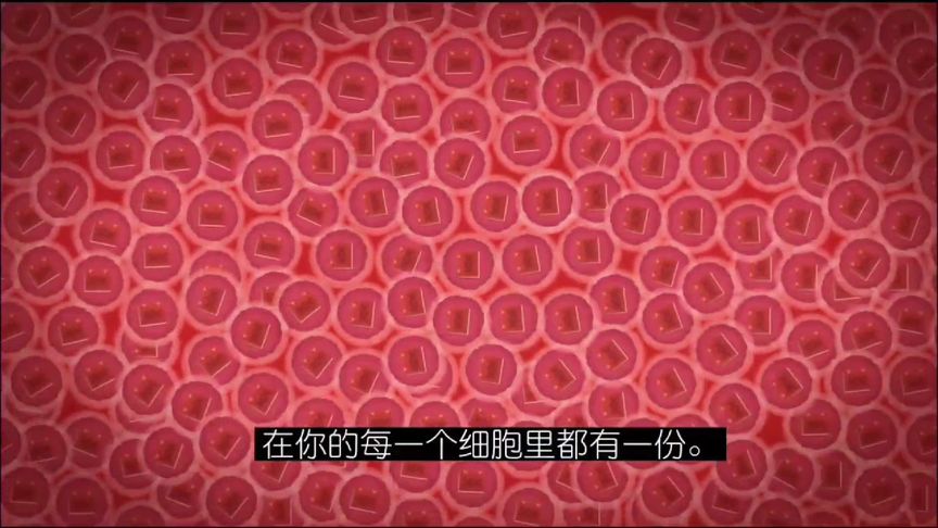 伟大工程:让你一眼明白人类基因组计划的具体操作