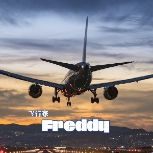 FlyerFreedy 