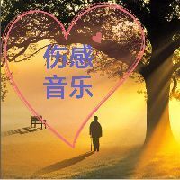 孤狼有情歌曲分享 