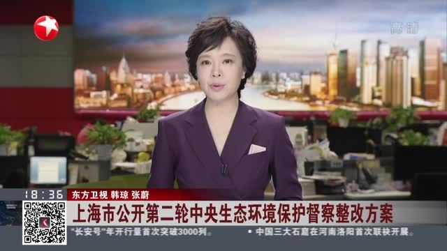 上海市公开第二轮中央生态环境保护督察整改方案